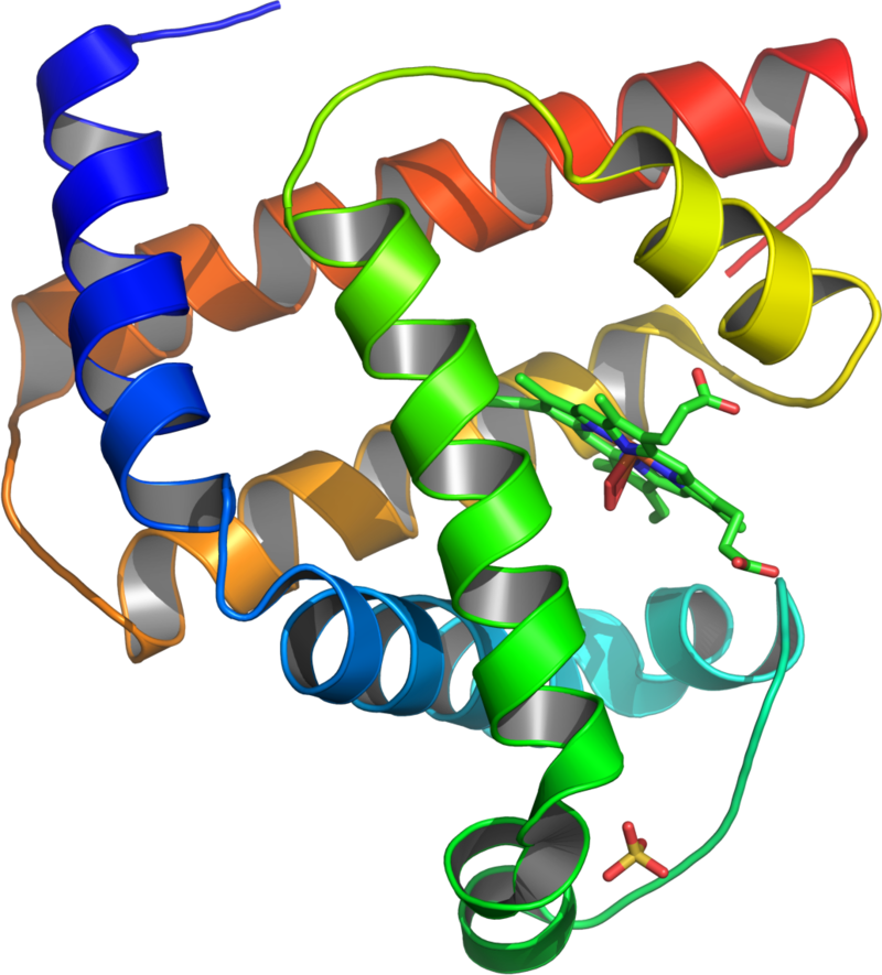 Biomolecule - Phần 1